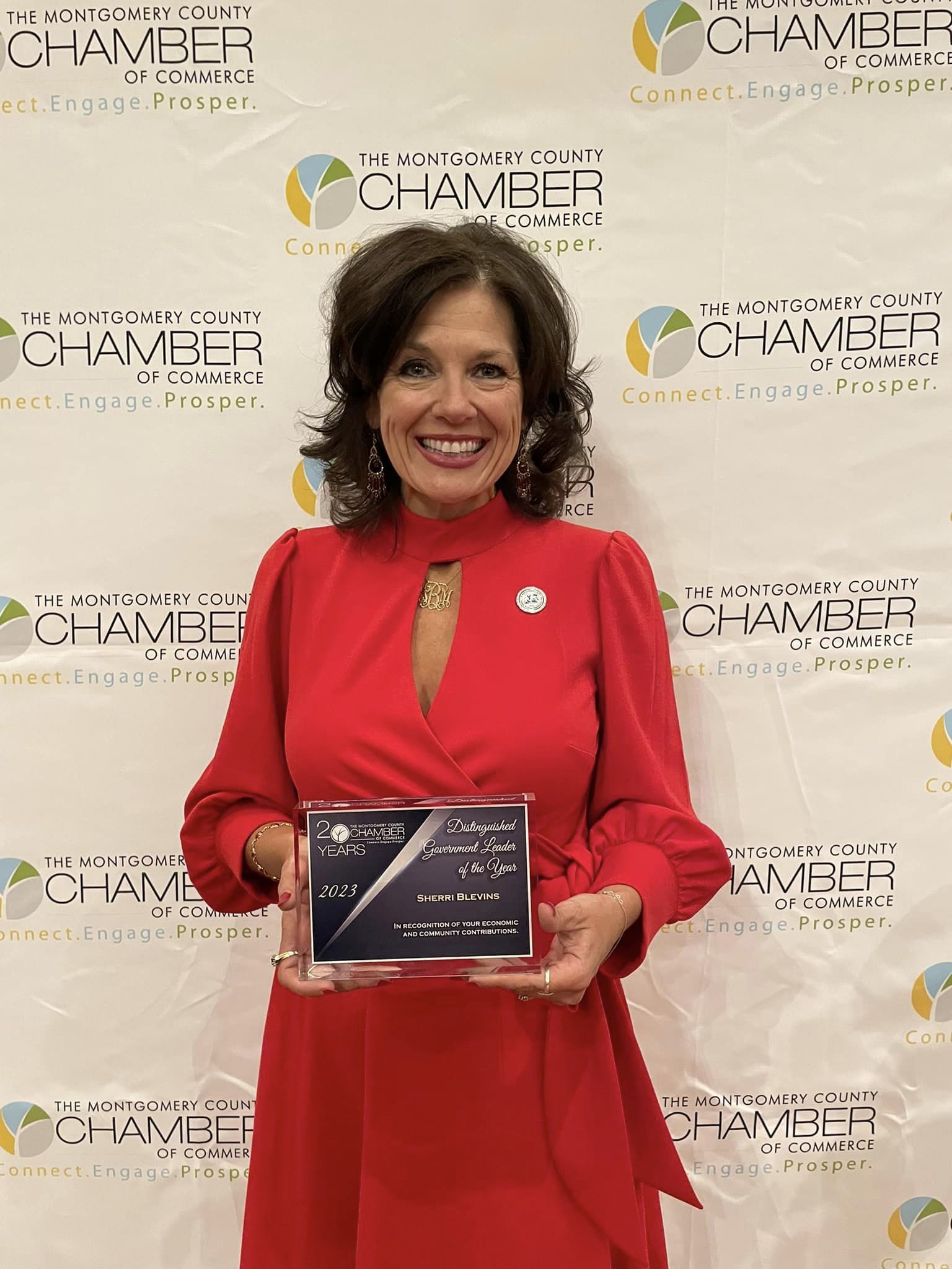 Sherri Blevins Receives 2023 Distinguished Government Leader of the ...